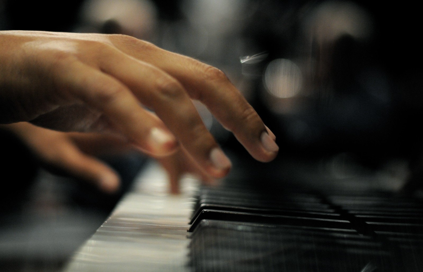 David Violi - Les Pianissimes